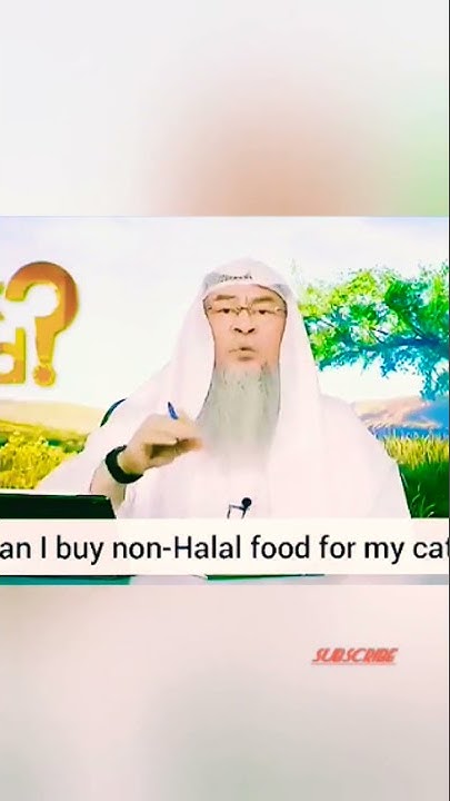 Can I buy non halal food for my cat? - Sheikh Assim Alhakeem - YouTube