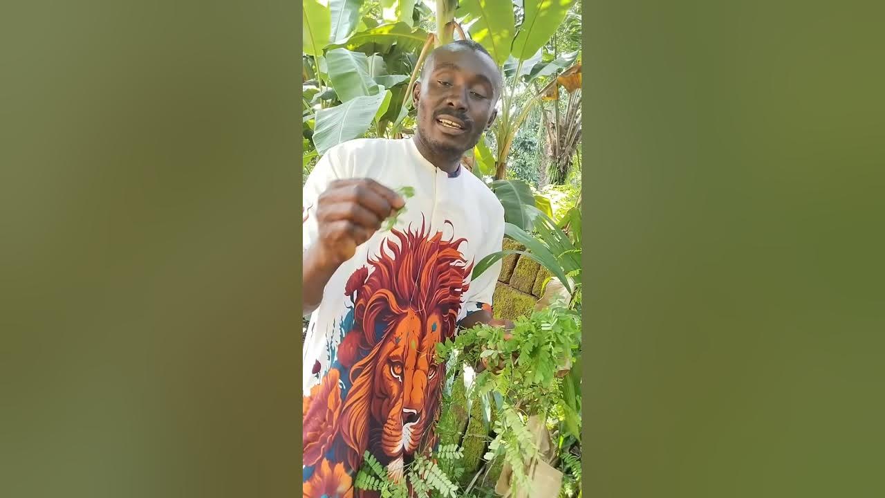 A strong protection aga!nst £v!l før¢es. - YouTube