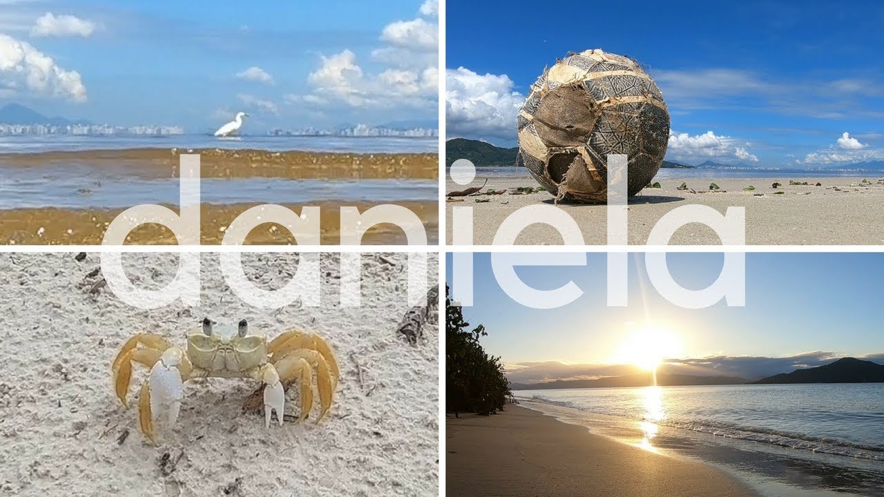 Praia da Daniela - Florianópolis SC - YouTube