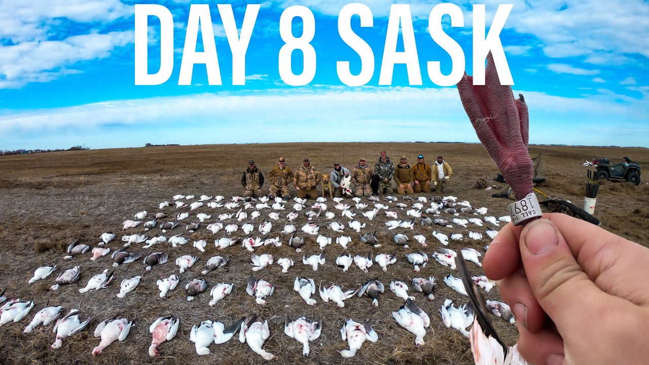 200 BIRD DAY PLUS A BAND! - YouTube
