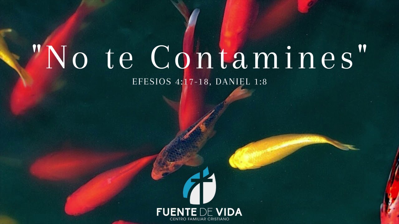 Tiempo de Despertar | No te contamines - YouTube