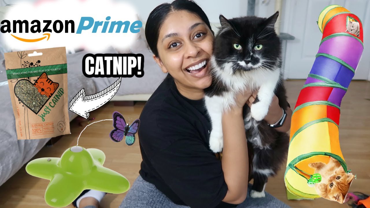 TESTING BESTSELLING AMAZON CAT TOYS ON MY CATS! HE BIT ME! - YouTube