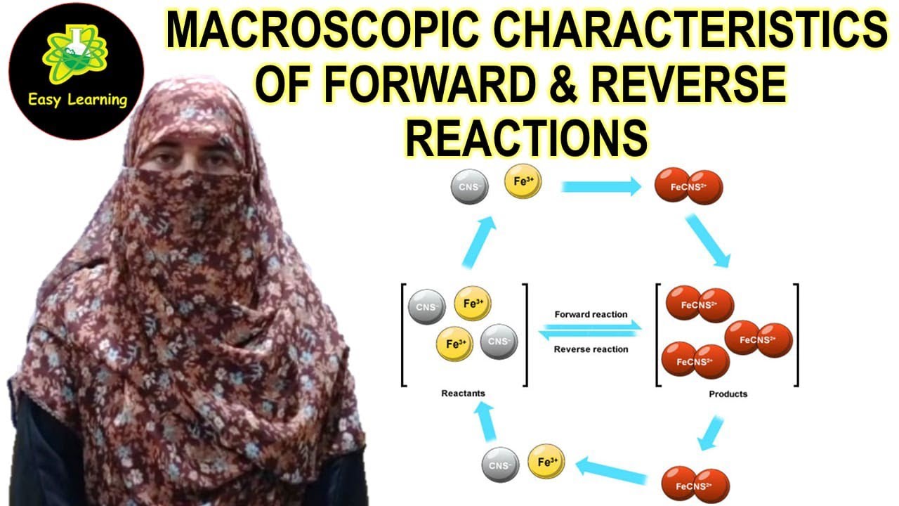 Macroscopic Characteristics of Forward, Reverse Reactions & Dynamic ...