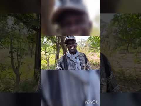 Visitez de l'Eco From Africa dans le village de Soutou  (Ferm Agroecologique de Casamance)