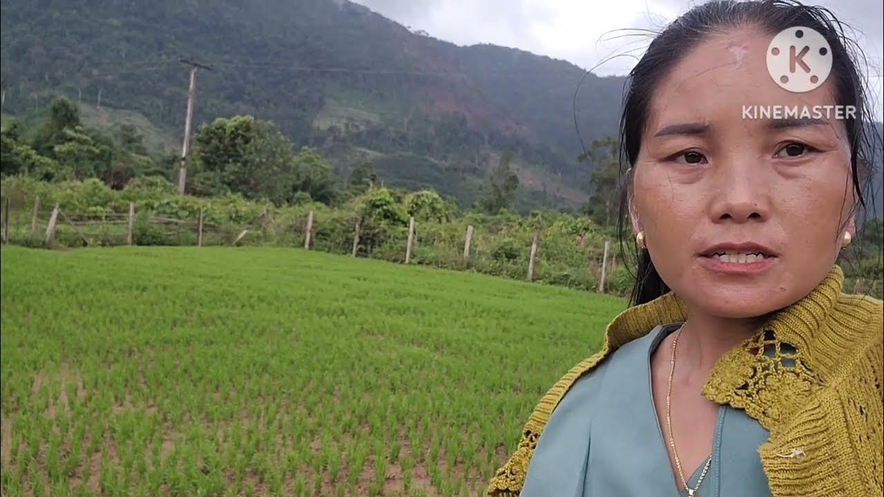 tsi ntev xwb plej twb rov luaj li no lawm os - YouTube