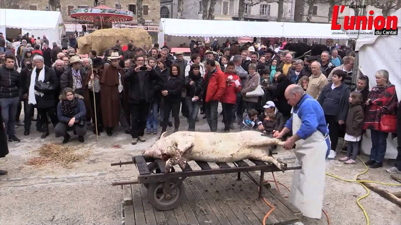 la Mangona 2015 - YouTube