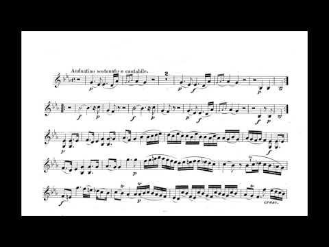 Mozart, Sonata para violín y piano en Si b M, K.378 - Acompañamiento