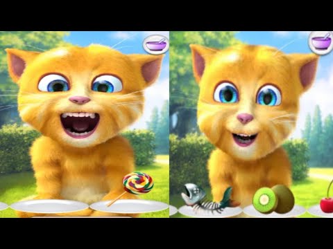 Talking Ginger 2 😺😺