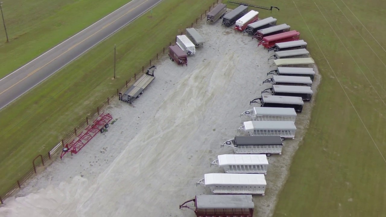 Walker Cattle Image Piece - YouTube