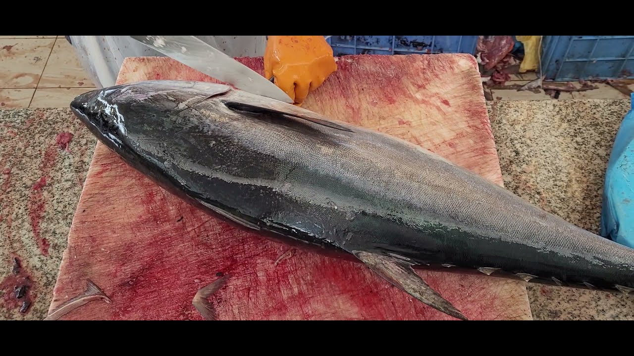Tuna Fish Cutting By Machine|| Tuna Fish Cutting By Hand|| Speed Master ...