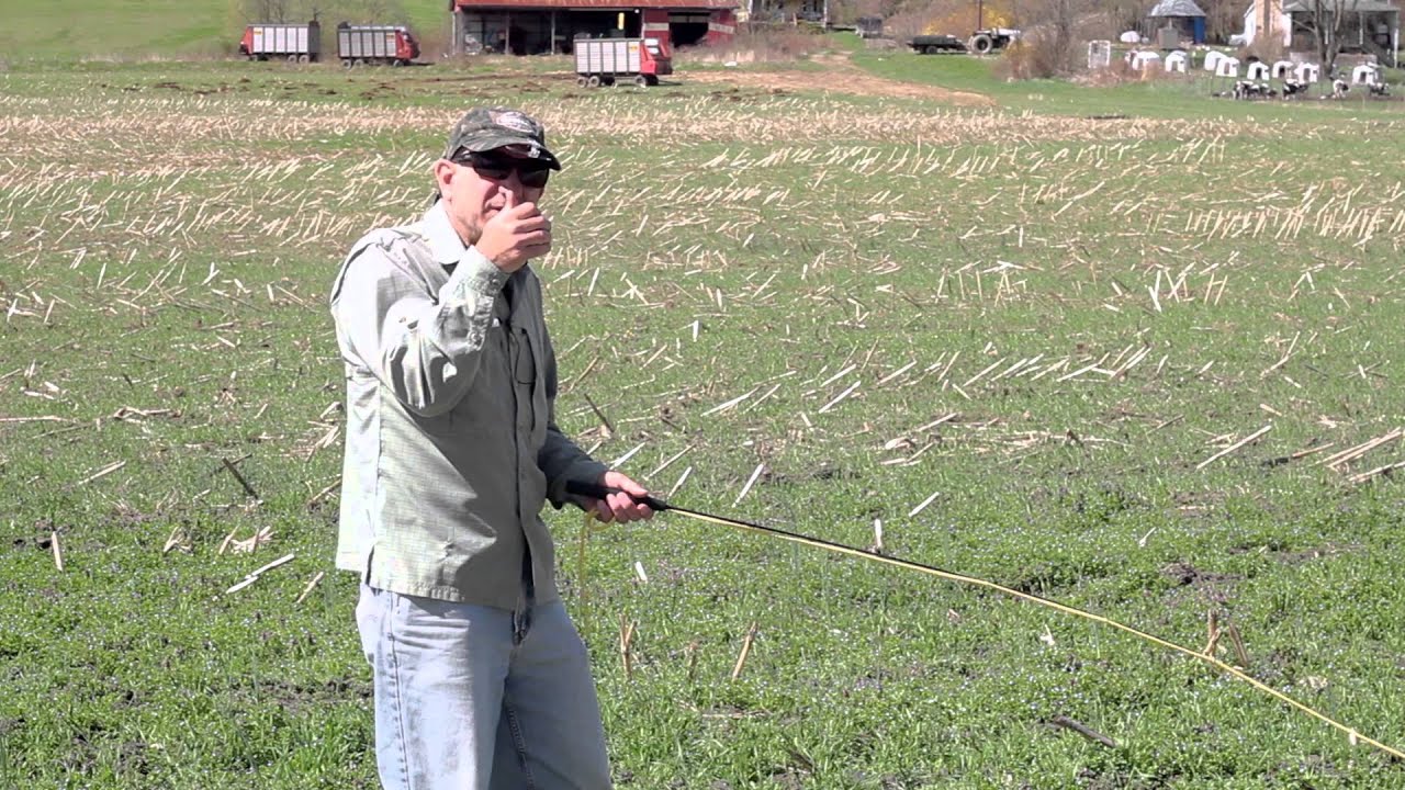 The Tuck Cast - Fly Fishing - YouTube