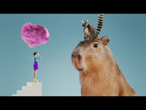 Nifrel『生きているミュージアム』