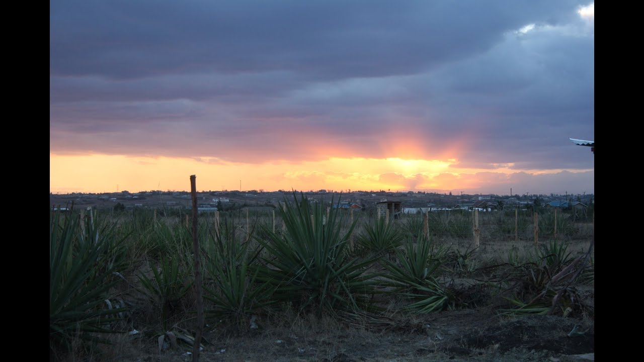 JAMES MUNENE KIMANI FARE THEE WELL - YouTube
