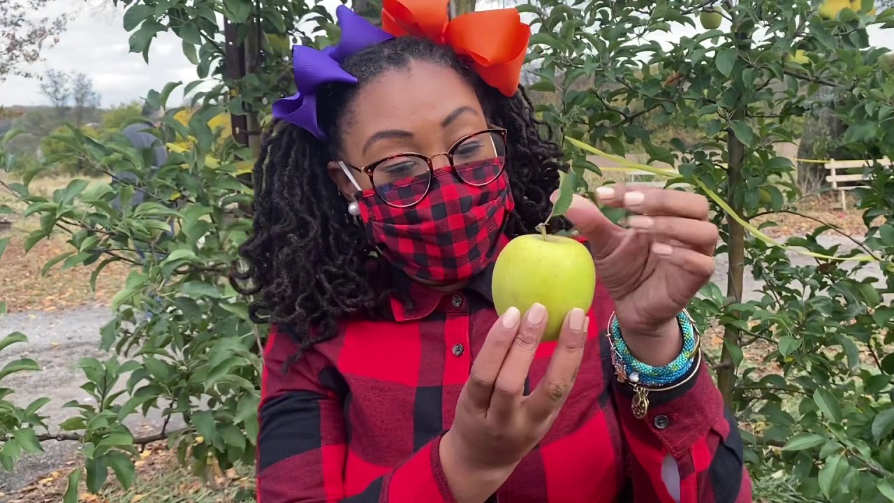 Ms.Nae Nae goes Apple Picking 🍎🍎 - YouTube