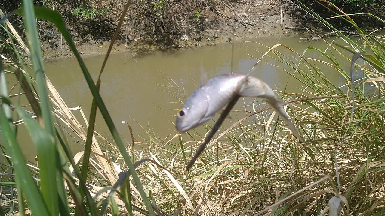 Kahit tanghale n nka putok may naholi parin/Jojo Tiksay Fish hunting ...