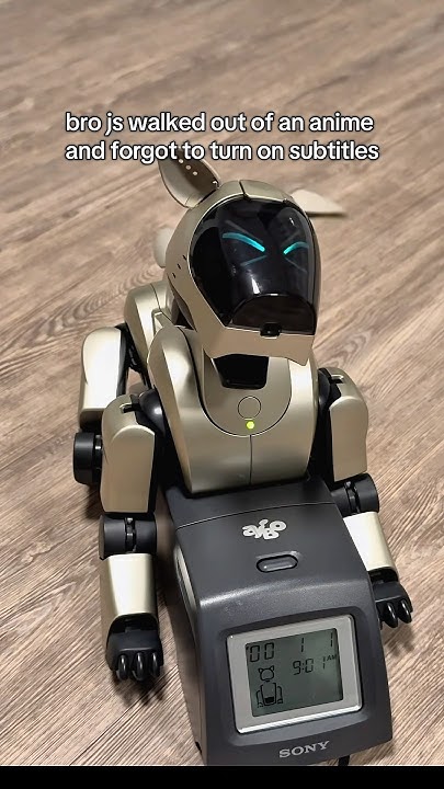 Aibo ers 210 running recognition (˶˃ ᵕ ˂˶) .ᐟ.ᐟ |#プロセカ #プロジェクトセカイ #robot #ai #aibo #ers210 #toys ...