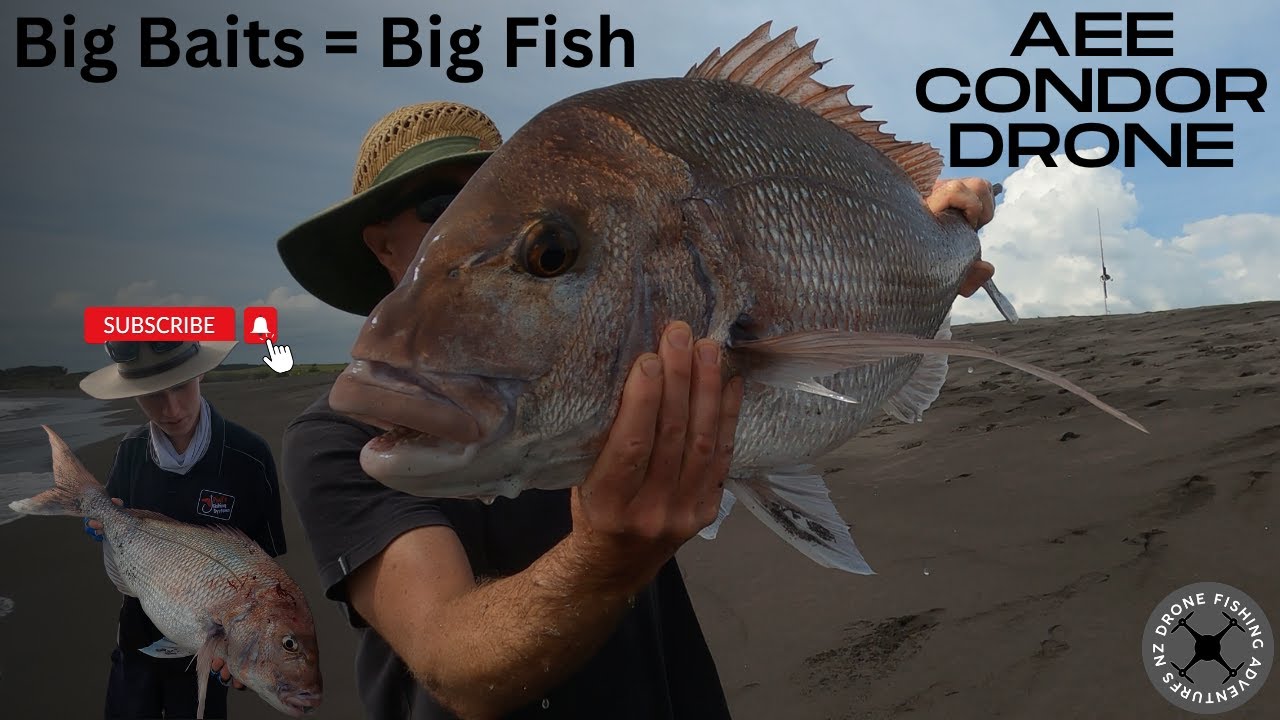 Big Fresh Baits for Big Fish! - Drone Fishing NZ - YouTube