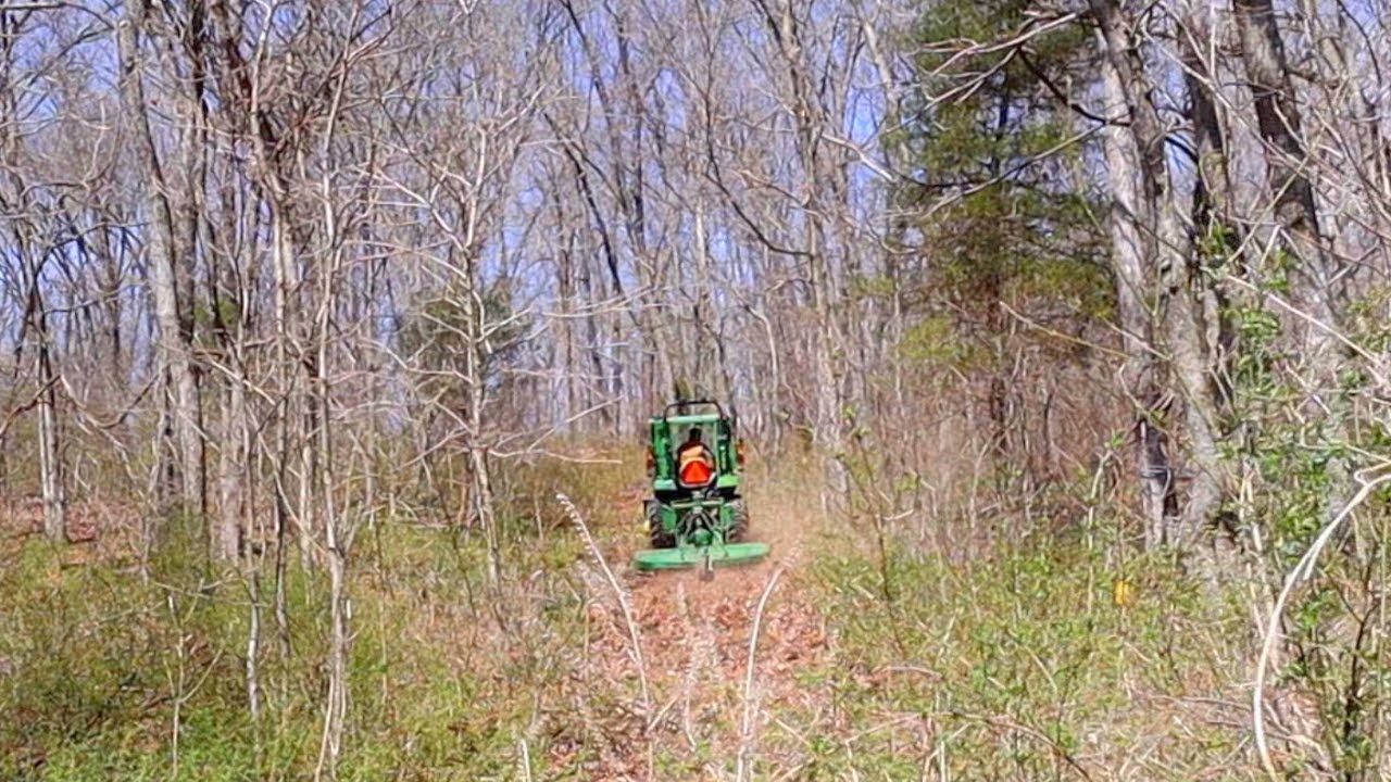 Cutting Trails with a Brush Hog and Timber Management - YouTube