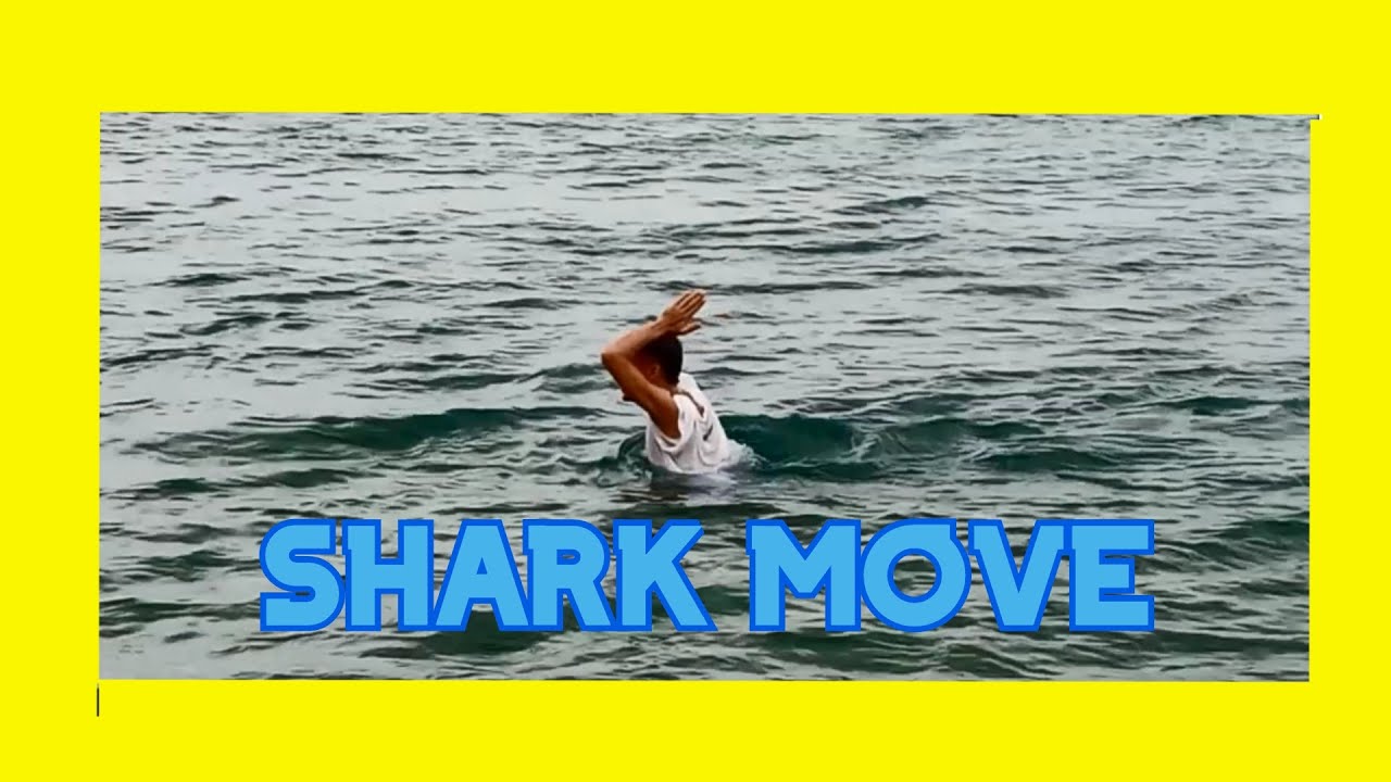 SHARK MOVE - YouTube
