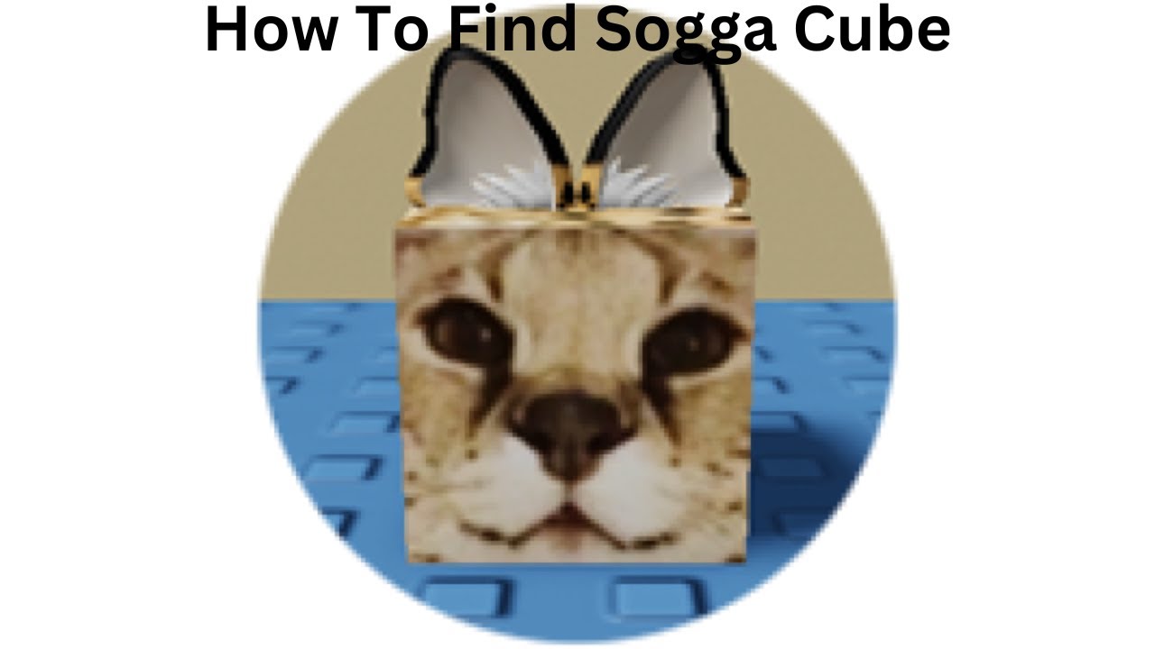 How To Find Sogga Cube in Find The Floppa - YouTube