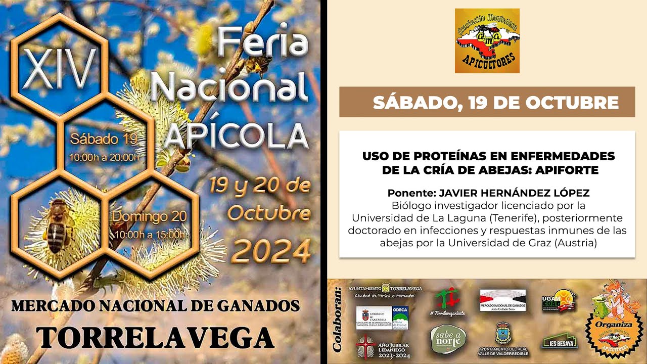 USO DE PROTEÍNAS EN ENFERMEDADES DE LA CRÍA DE ABEJAS: APIFORTE - YouTube