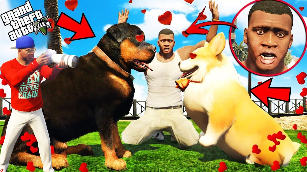 GTA 5 : Chop Wants To Marry in GTA 5 ! (GTA 5 mods) - YouTube
