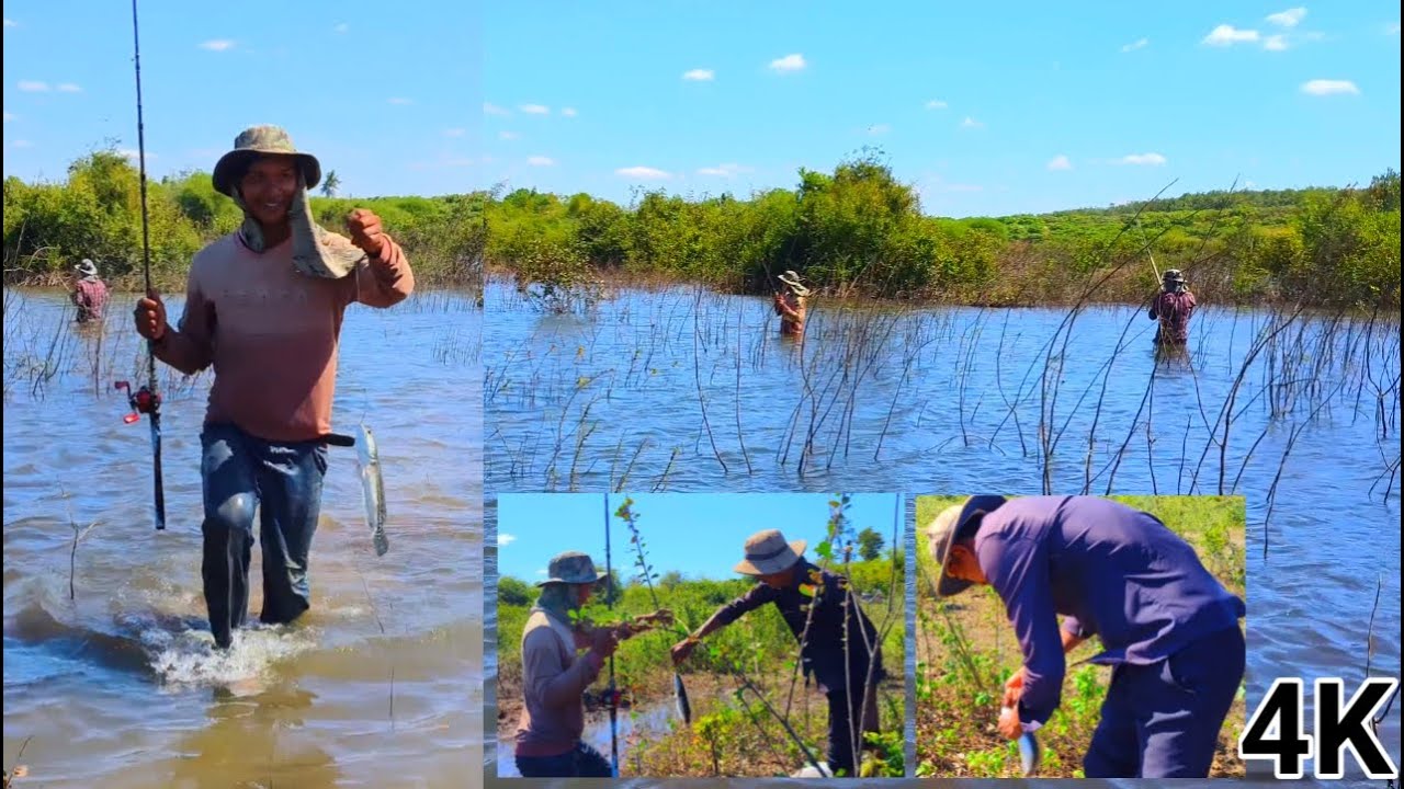 The new river is rich in big fish with many brothers and sisters, big ...