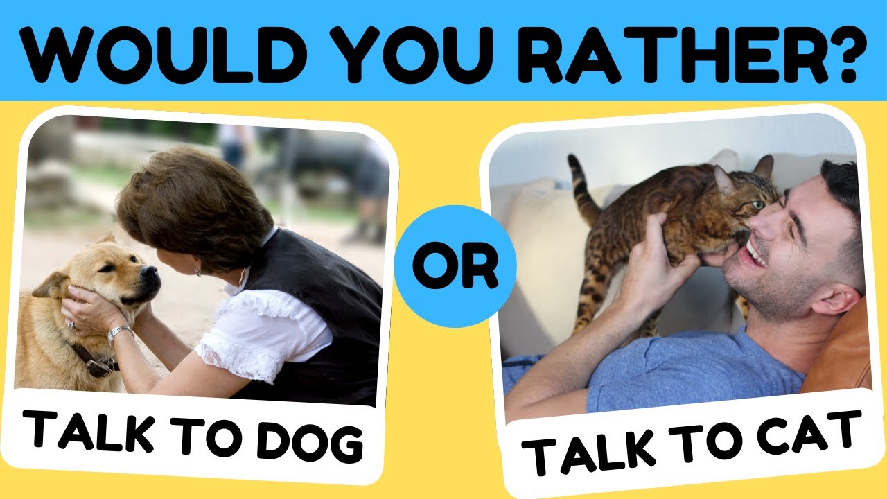 Would You Rather...?Animals Edition - YouTube