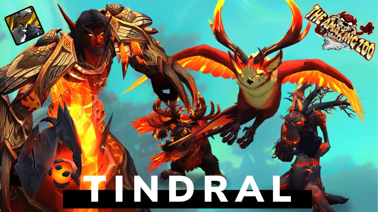 TINDRAL Mythic w/ coms - Hunter BM PoV | Guild The Amazing Zoo ...