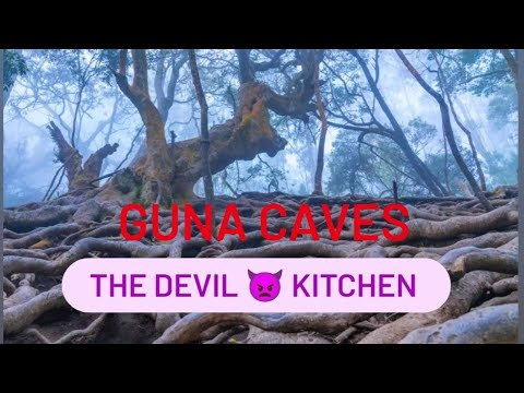 Guna Caves the devil's 👿 kitchen #kodaikanal #tamilnadu #wildlife - YouTube