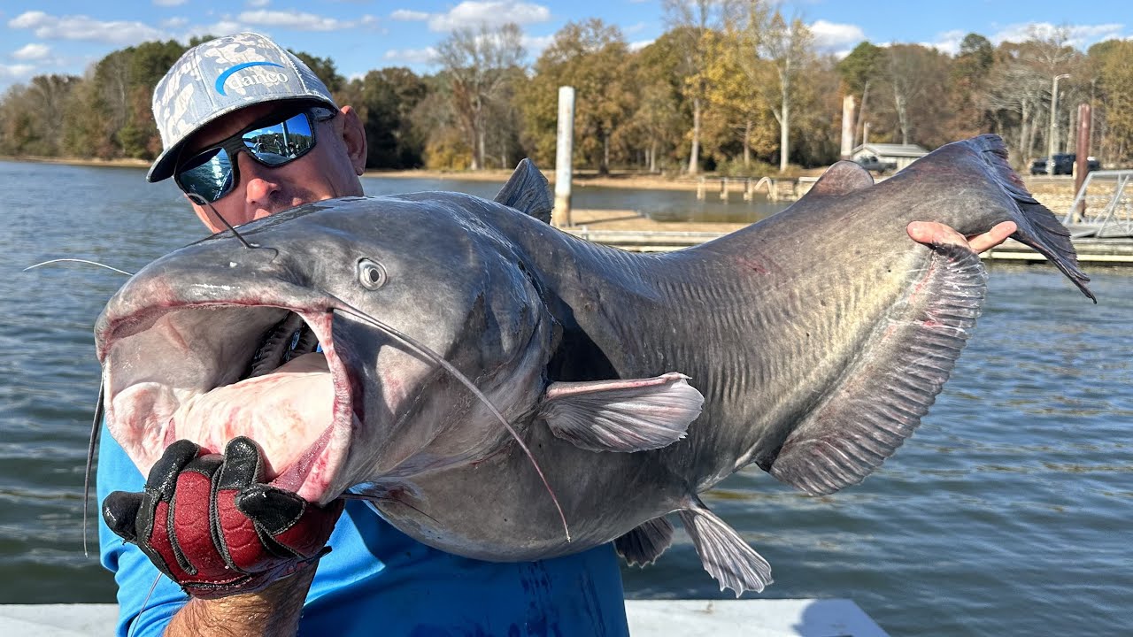 Giant River Monsters from the Deep! (Catch Clean and Cook) - YouTube