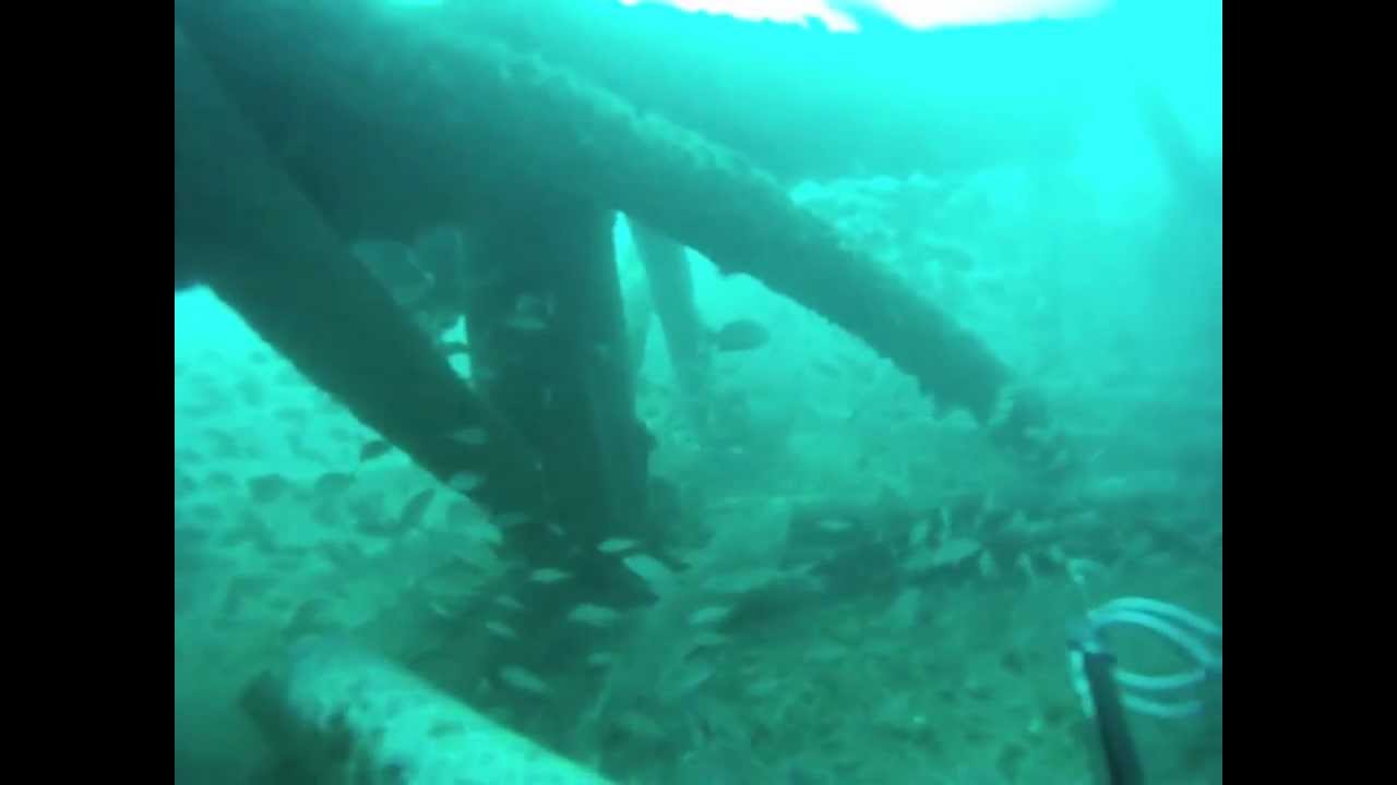 Stage One Dive- Panama City Beach Offshore Scuba Diving - YouTube