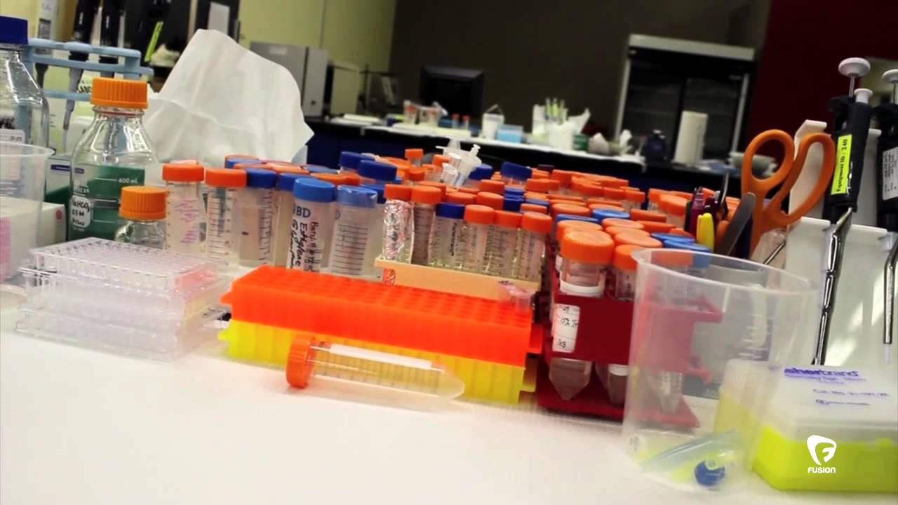 Instant Chemistry | Fusion - YouTube