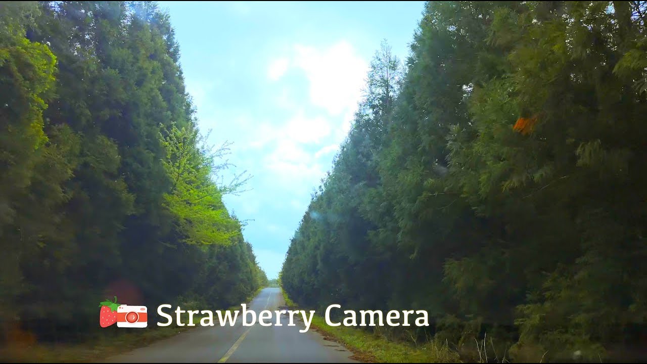 𝐏𝐥𝐚𝐲𝐥𝐢𝐬𝐭 🌥️흐린날 듣기 좋은 잔잔한 팝송 모음 🍓Strawberry Camera - YouTube