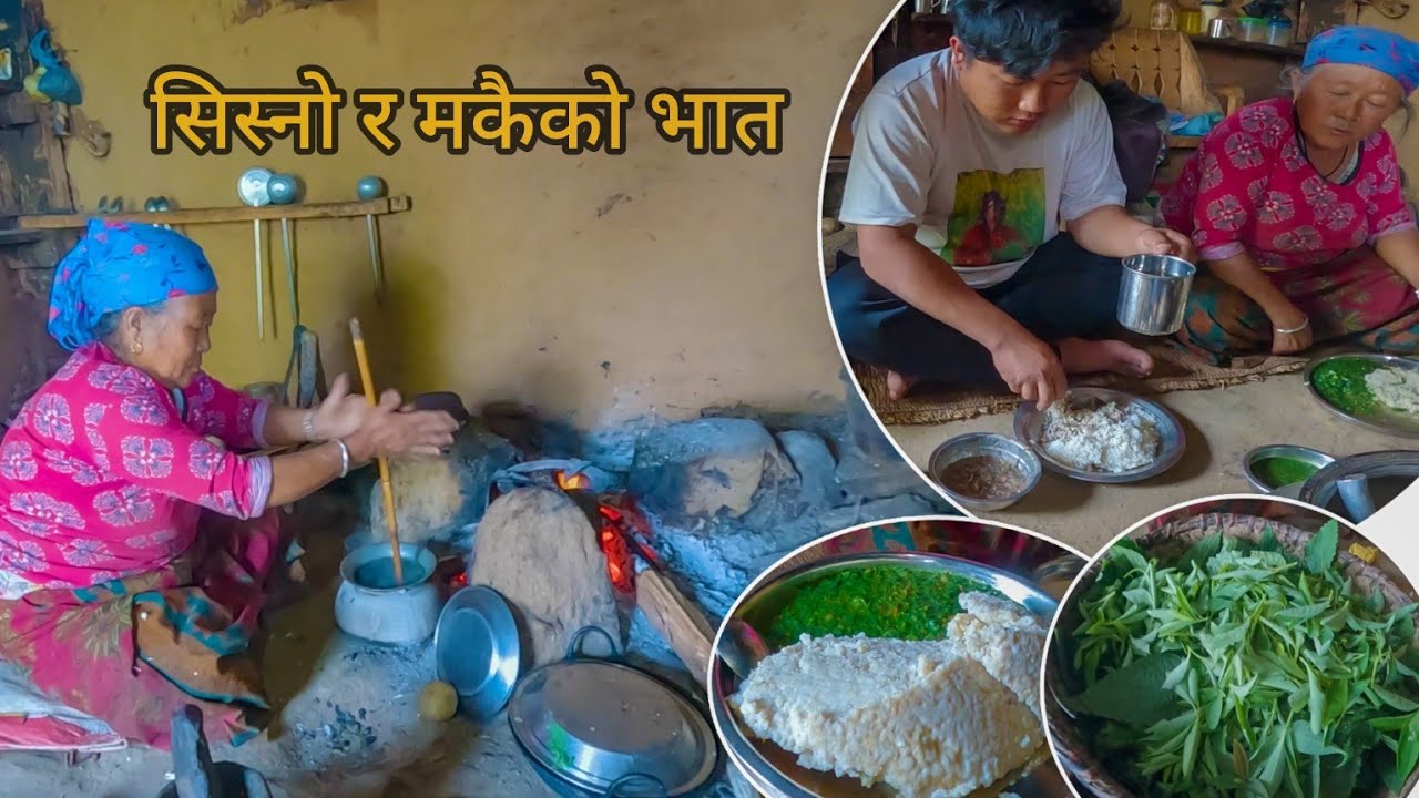 Sisno with maize rice cooking & eating in with my family(मकैको भात र ...