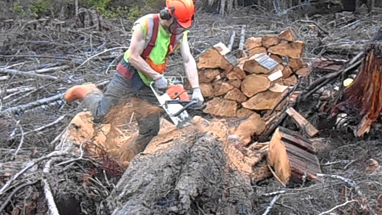 shake blocking - YouTube