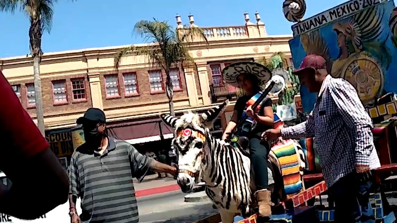 CENTRO DE TIJUANA , BURRO CEBRA MEXICANO, AVE. REVOLUCION, LA FOTO DEL ...