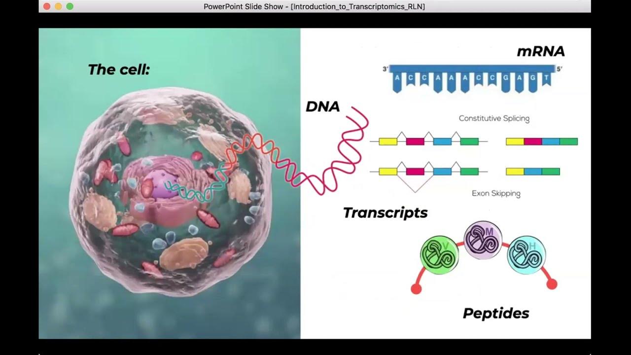 Gene Expression (Transcriptomics) - overview of NGS with Dr. Raghavendran Lakshminarayanan - YouTube