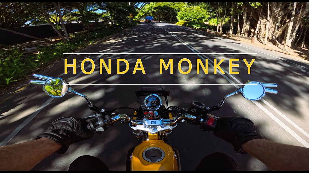 Honda Monkey | Aodonly Exhaust | RAW 4K | Onboard POV | Sound ONLY ...