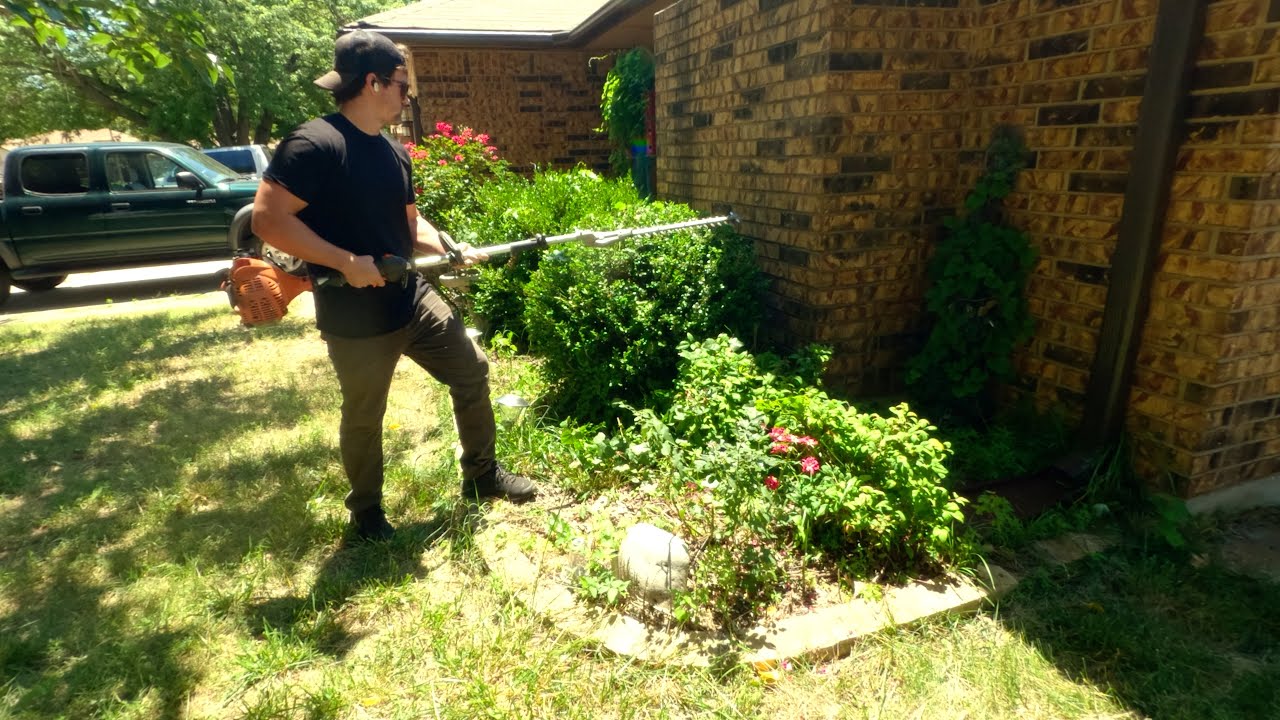 Bush Trimming & Flower Bed Clean Up - YouTube