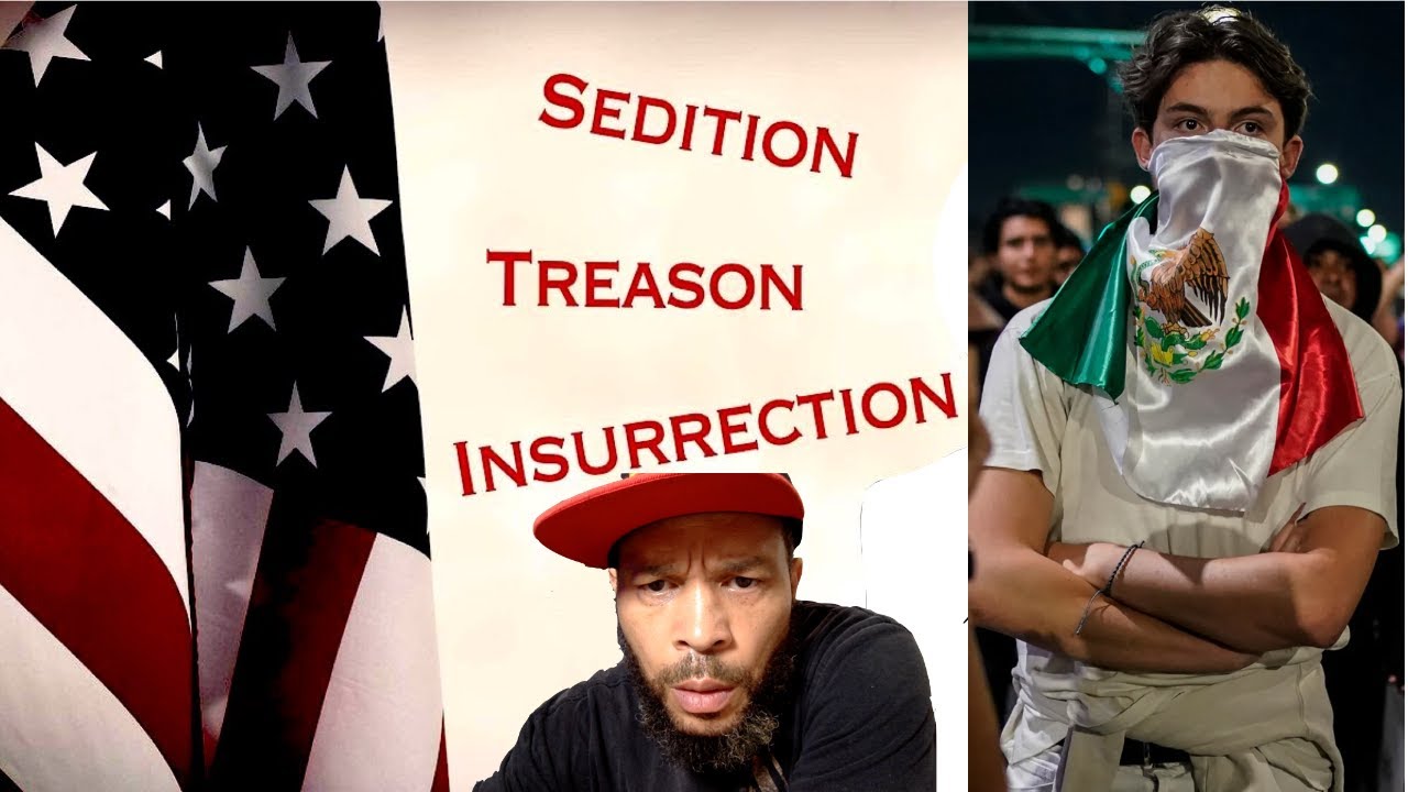 PROTESTING MEXICAN AMERICANS WAVING MEXICAN FLAGS ARE GULITY OF TREASON ...