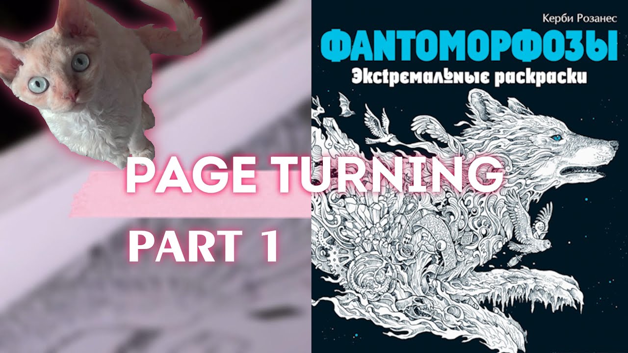 ASMR Page Turning Part 1| Choose a Page for Me to Color Next! | ASMR ...