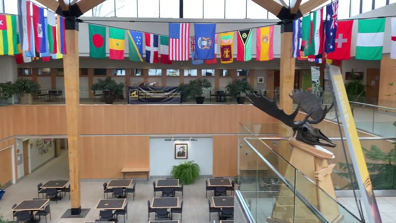 Undergraduate Programs | College of Forest Resources and Environmental ...