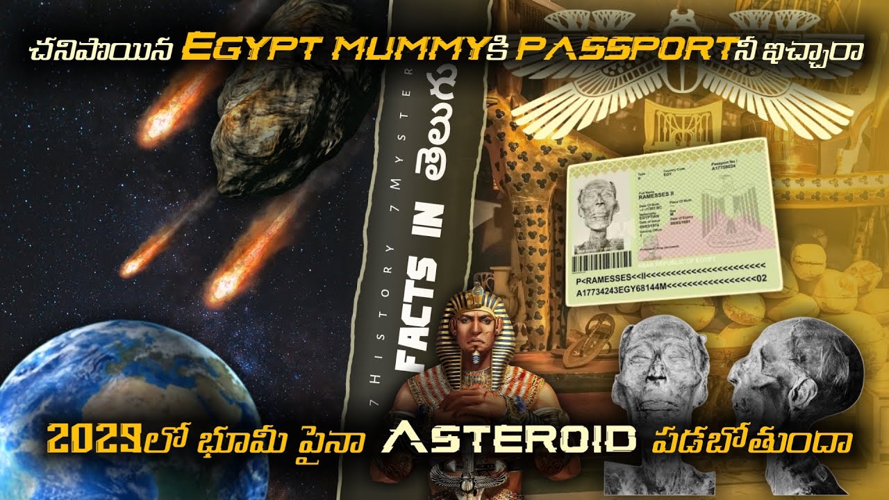 Did Ramesses II really have a passport?|The passport of Ramesses II ...