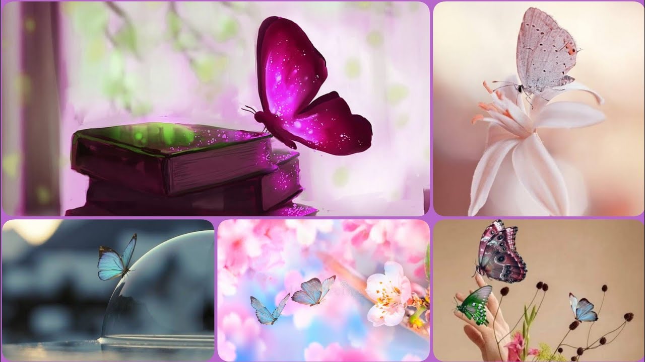 Beautiful butterfly 🦋 dpz/Butterfly whatapp profile dpz - YouTube
