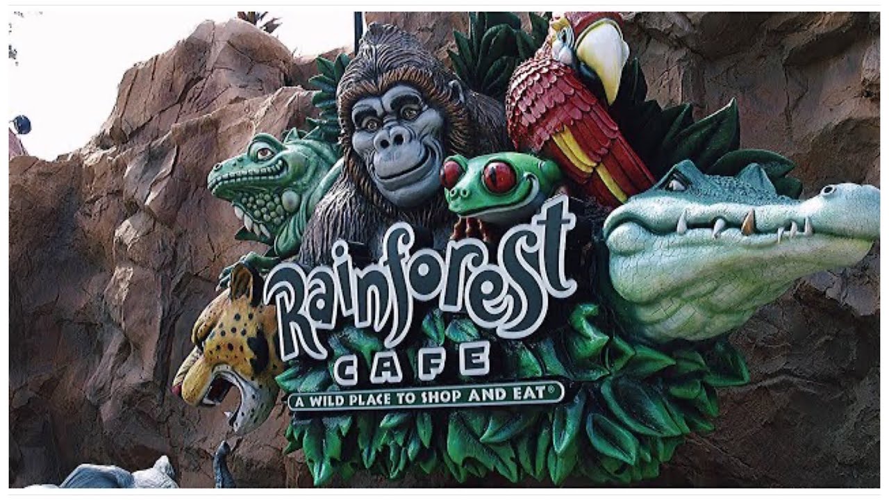 Went to an amazing restaurant called rainforest cafe! ( Reupload ...