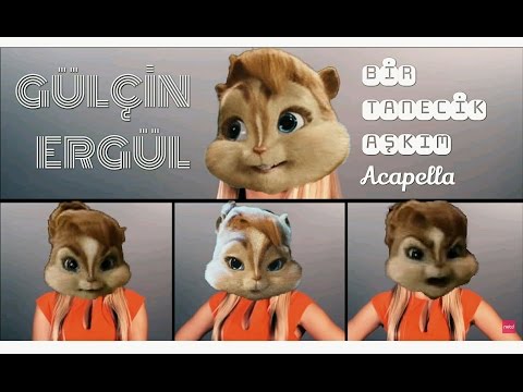 Alvin ve Sincaplar - Bir Tanecik Aşkım (Acapella)