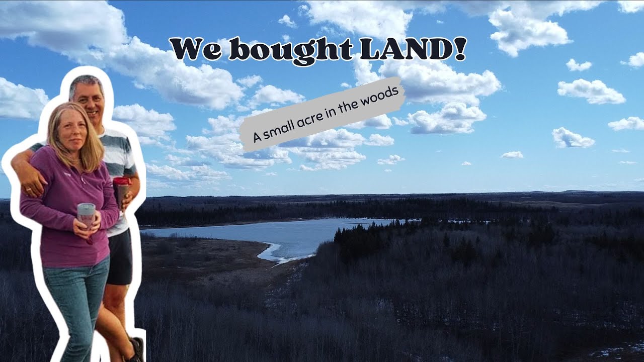 We Bought Land in the Forest..... While Searching for Our Forever ...