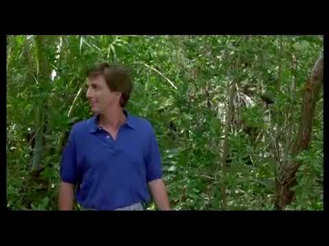 Captain Ron (funnies part 1) - YouTube