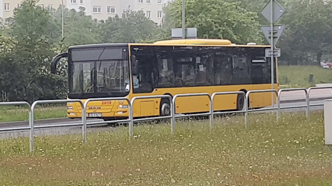 MAN NL283 Lion's City #2019 - YouTube